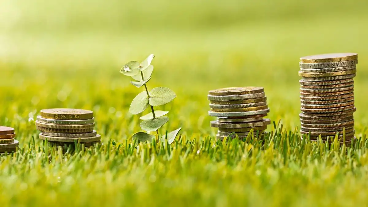 Introducing ING's new 5% term deposits